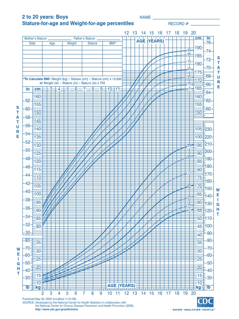 Growth Chart Boys 2 To 20 | PDF