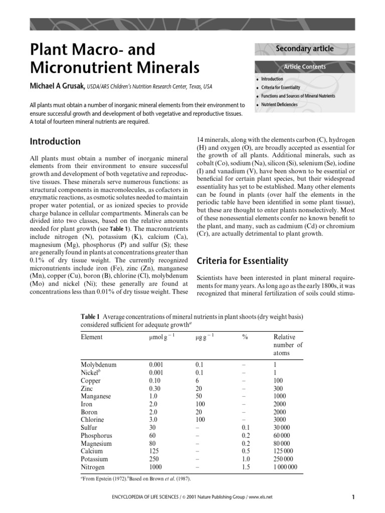 Plant Macro-And Micronutrient Minerals | PDF | Nutrients | Metabolism