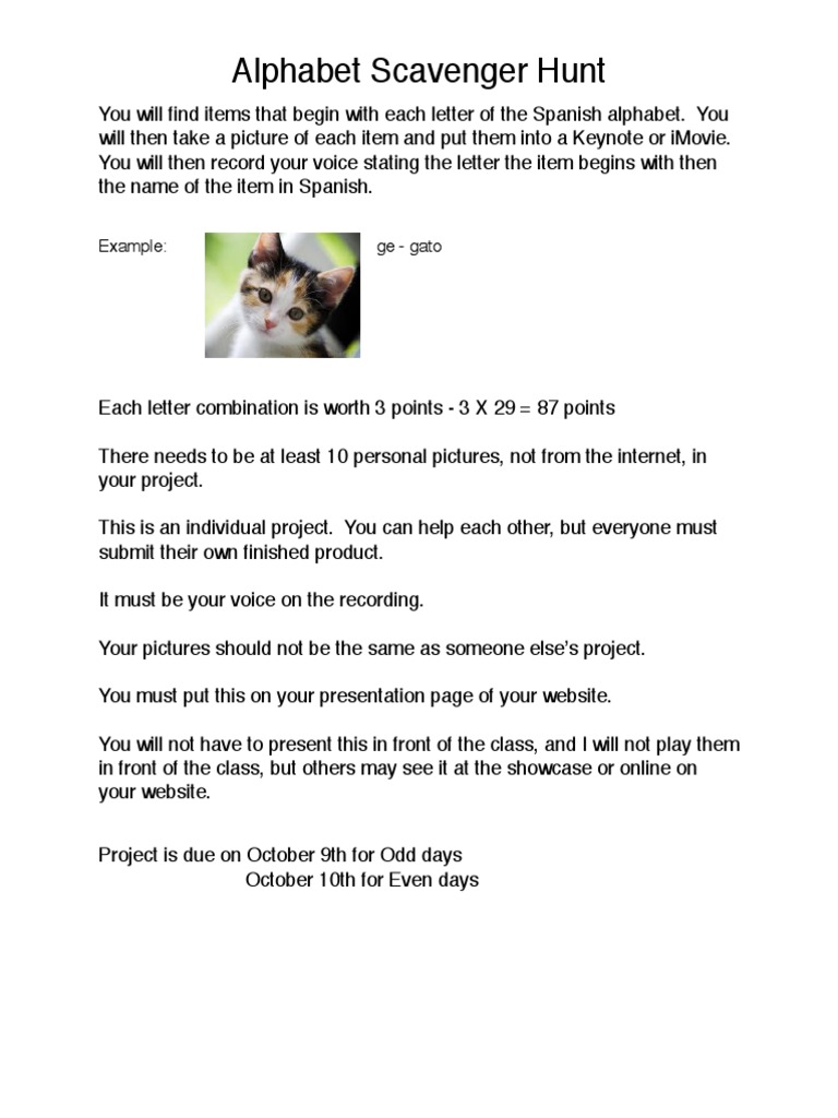 Spanish Alphabet Project | PDF