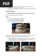 Curva de Spee y Wilson | PDF | Ortodoncia | Odontología