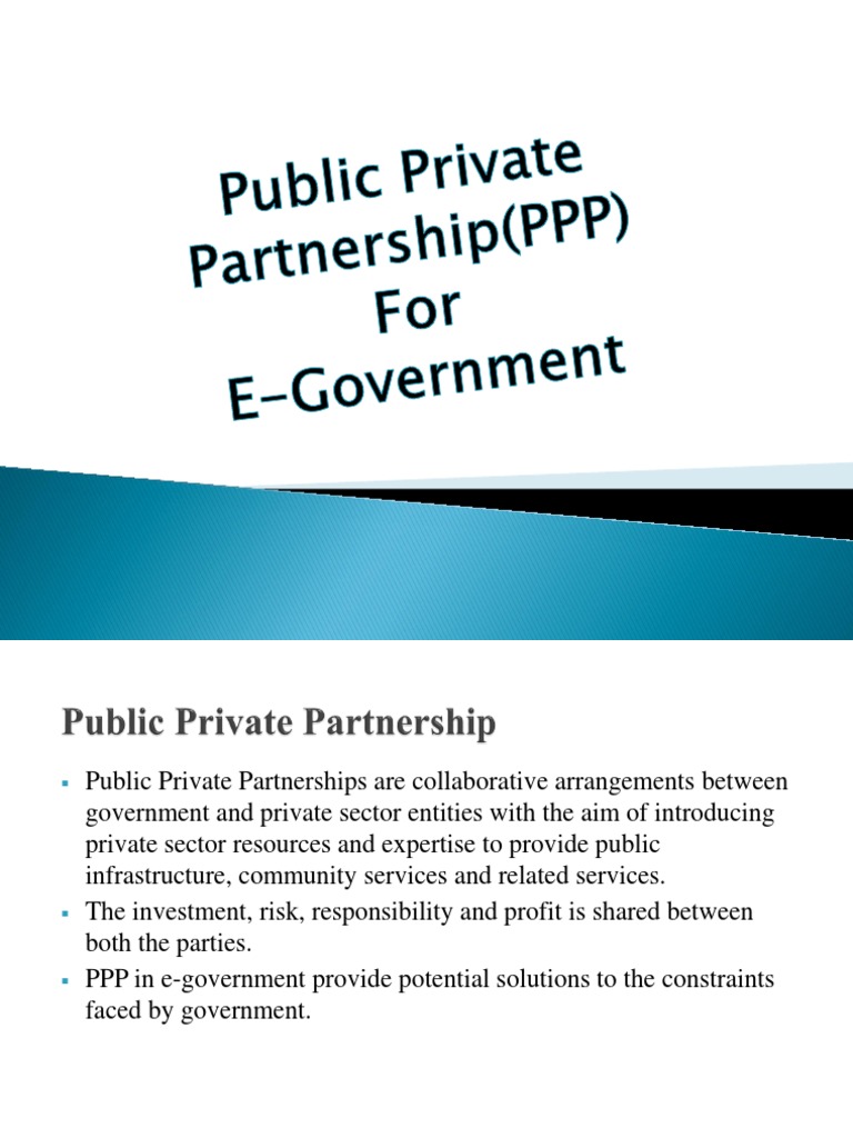 E-Government Public-Private Partnerships | PDF | Public–Private ...