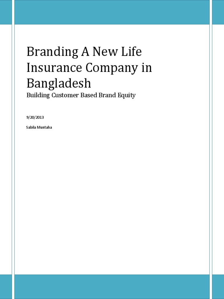 Branding A New Life Insurance Company | PDF | Brand | Emotions