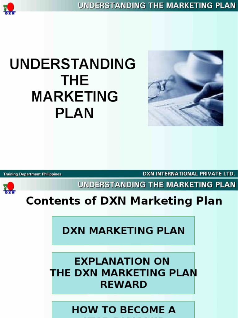 Understanding The Marketing Plan | PDF | Economies | Business