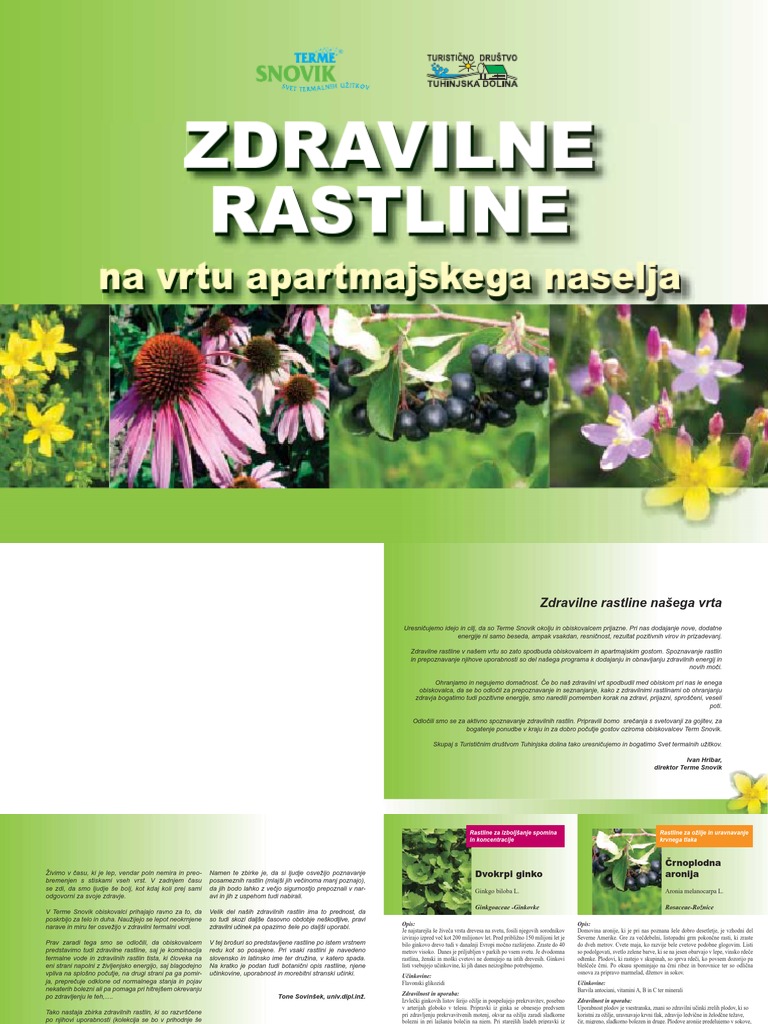 zdravilne-rastline