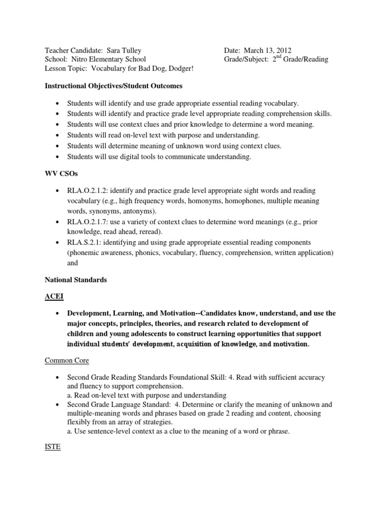 Bad Dog Dodger Lesson Plan | PDF | Reading Comprehension | Vocabulary