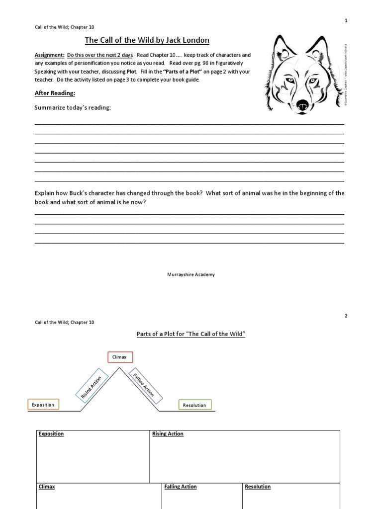 Call of the Wild Chapter 10 Assignment | PDF