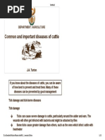Burdizzo Method of Bovine Castration | PDF | Medicine | Male Mammals