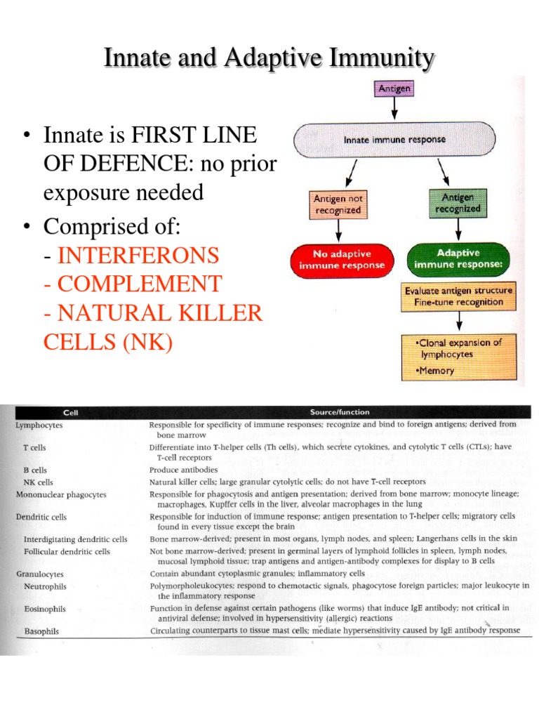 Innate and Adaptive Immunity: - Innate Is FIRST LINE OF DEFENCE: No ...
