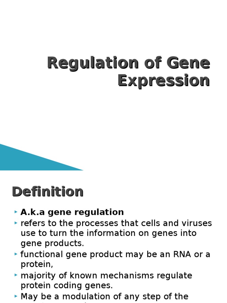 Gene Expression and Regulation Overview | PDF | Regulation Of Gene ...