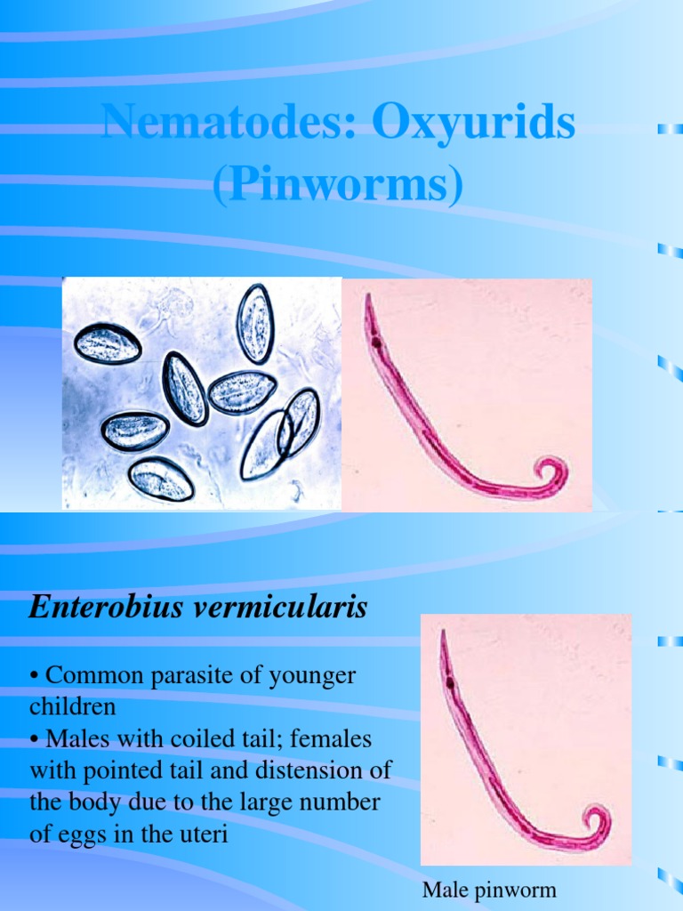 Oxyurids | PDF | Parasites | Epidemiology