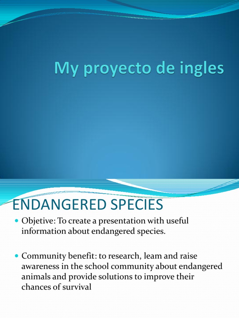 My Proyecto de Ingles | PDF