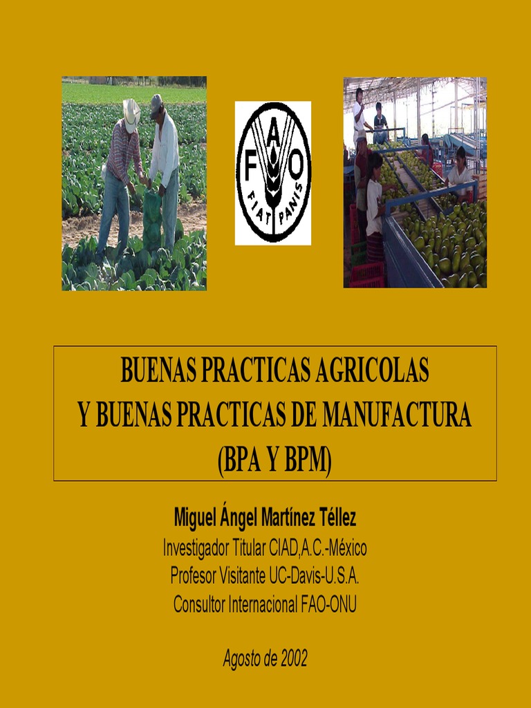 BPA y BPM en Agricultura y Alimentación | PDF | Salud y bienestar ...