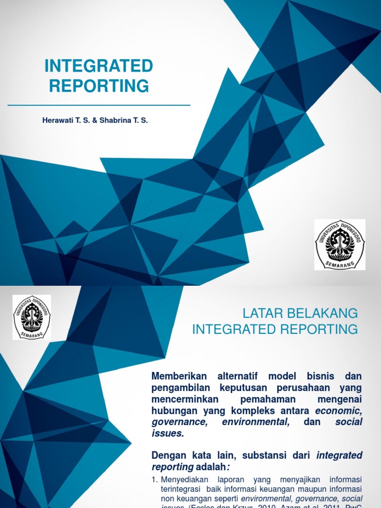 Integrated Reporting | PDF