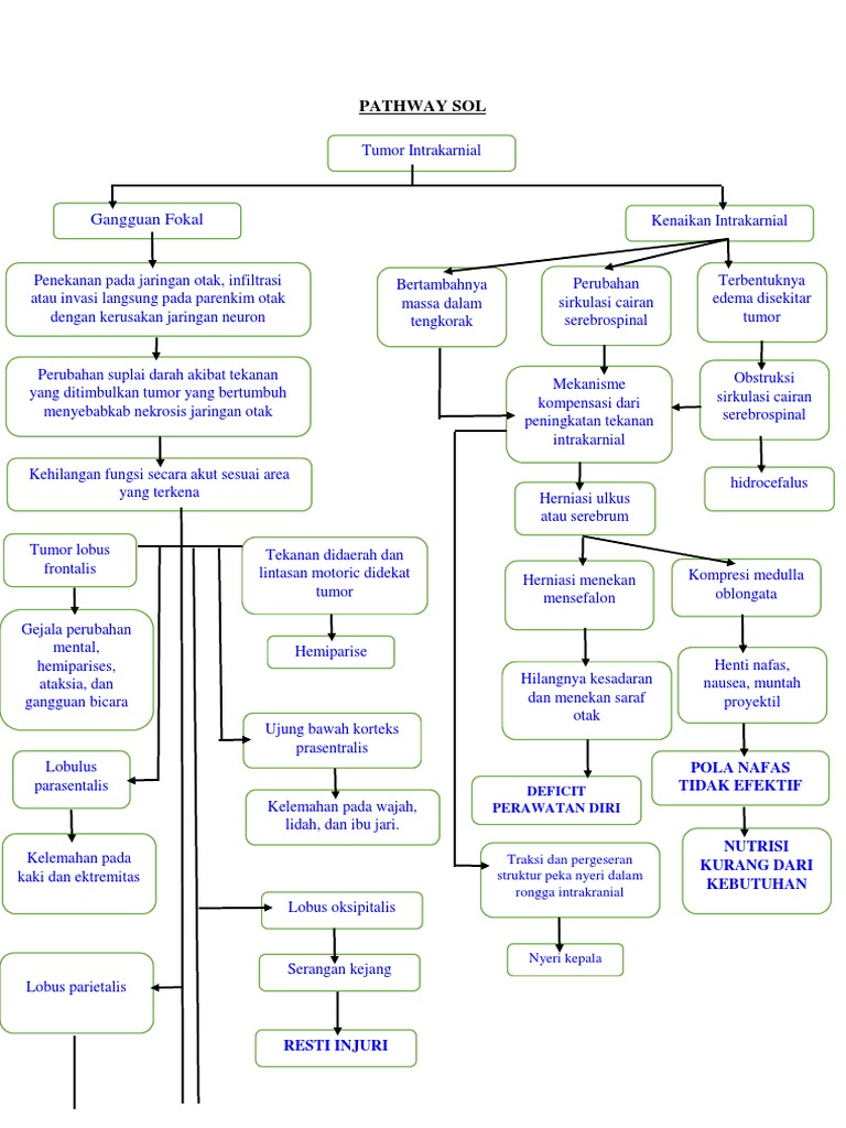 Pathway Sol PDF | PDF | Sains & Matematika