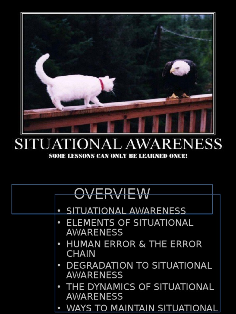 Situational Awareness | PDF | Aviation | Aviation Safety