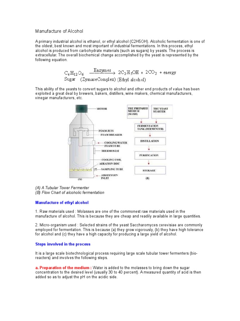 Manufacture of Alcohol | PDF | Ethanol | Yeast