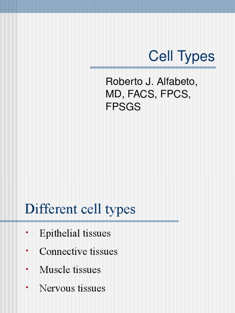 Cell Types: Roberto J. Alfabeto, MD, Facs, FPCS, Fpsgs | PDF ...