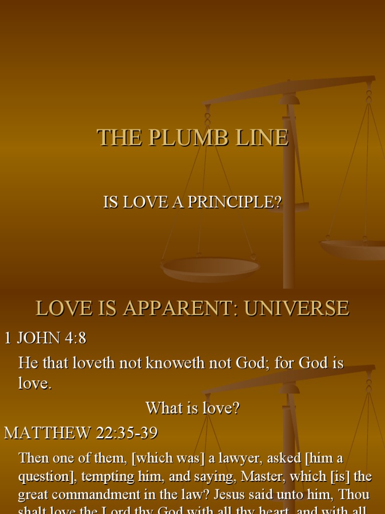 The Plumb Line | PDF | Ten Commandments | Law Of Moses
