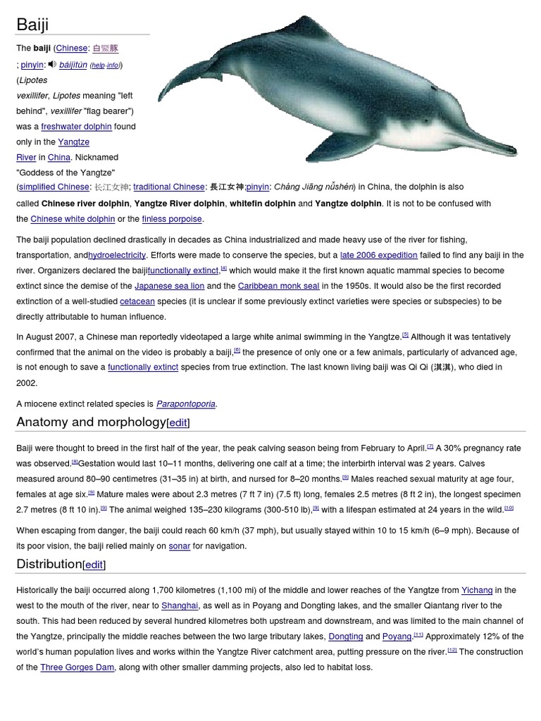 Baiji | Marine Mammals | Ungulates