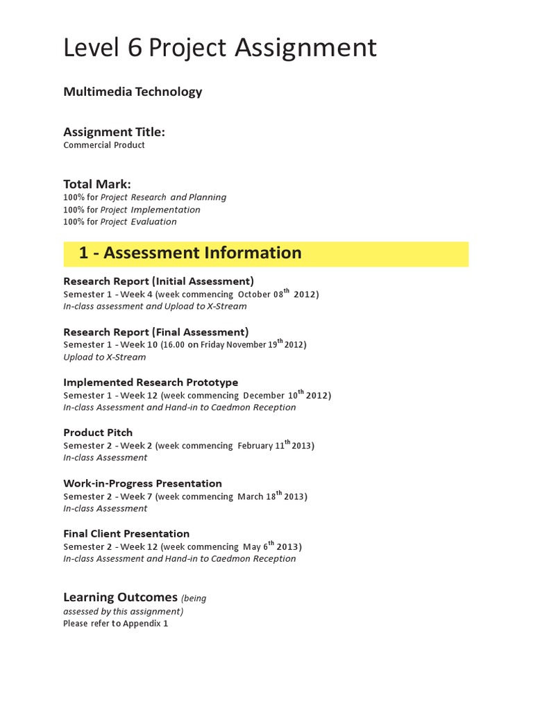 Level 6 Project Assignment: 1 - Assessment Information | PDF ...