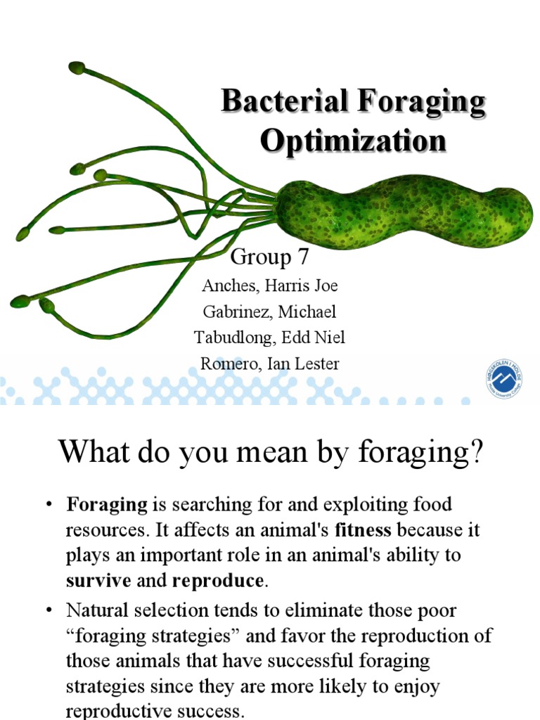 Bacterial Foraging Optimization Guide | PDF | Chemotaxis | Bacteria