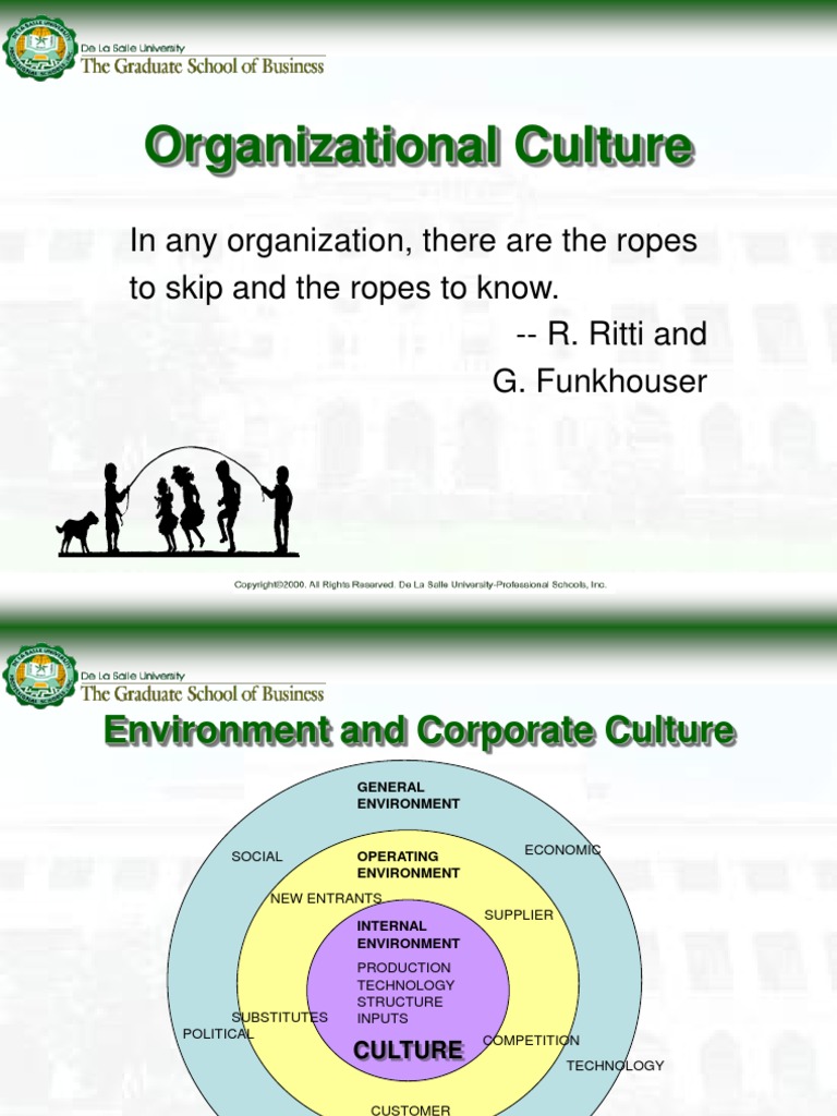 Culture Lecture | PDF | Organizational Culture | Leadership
