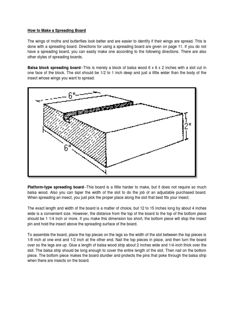 How To Make A Spreading Board | PDF | Insects | Lepidoptera