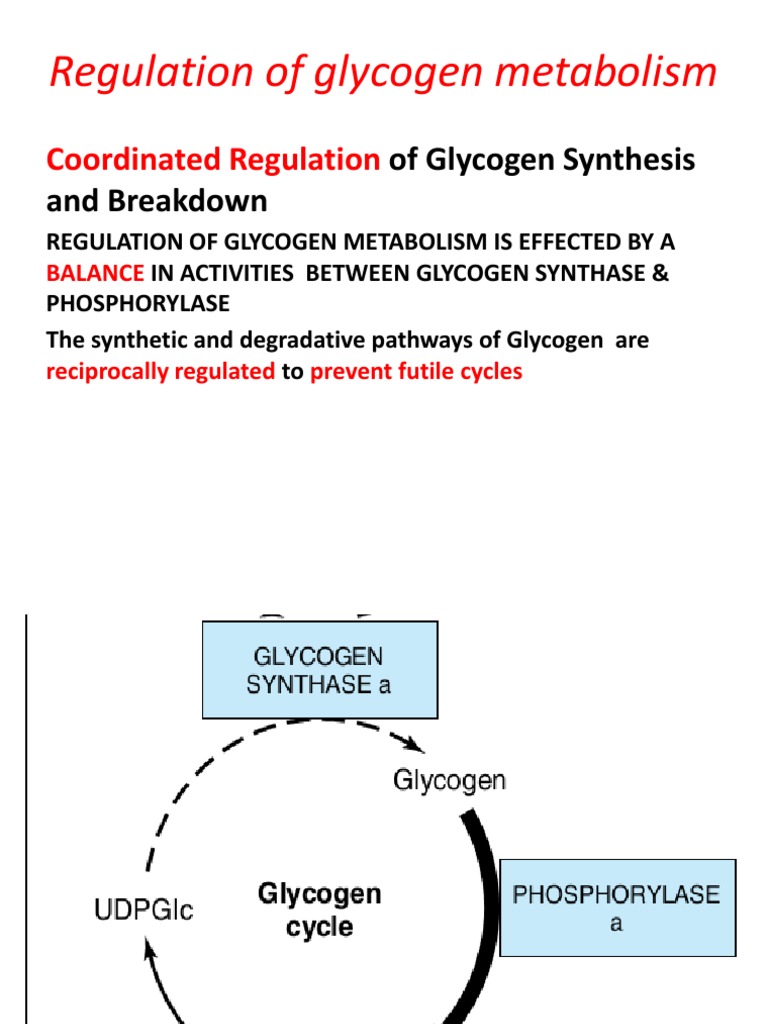 Regulation of glycogen metabolism.pptx | Kinase | Phosphorylation