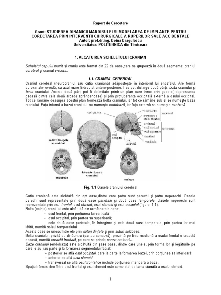 Scheletul Cranian | PDF