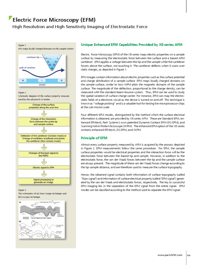 Electrostatic Force Microscopy (EFM) | PDF | Force | Electromagnetism