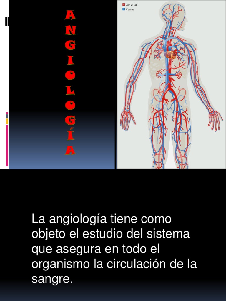 Presentacion de Angiologia | Artería | Sistema circulatorio