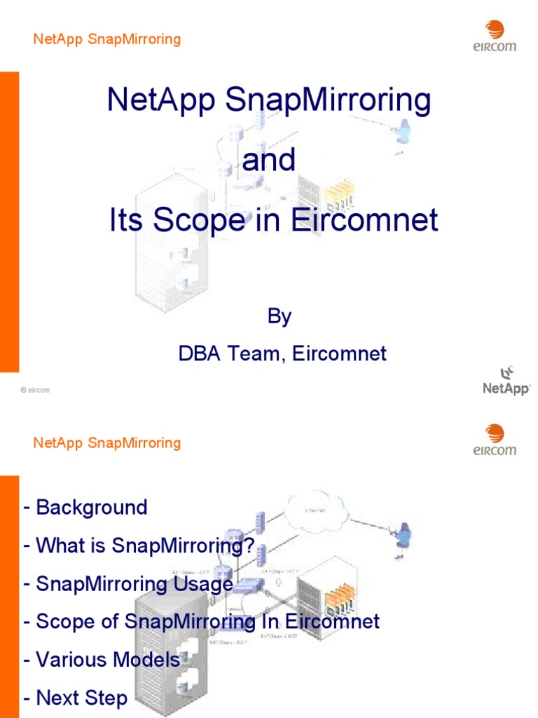 Database SanpMirroring Proposal | PDF | Replication (Computing) | Backup