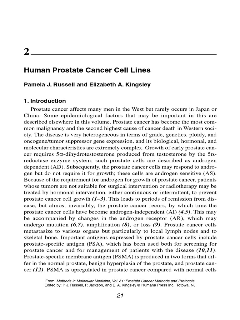 Human Prostate Cell Lines | PDF | Metastasis | Prostate Cancer