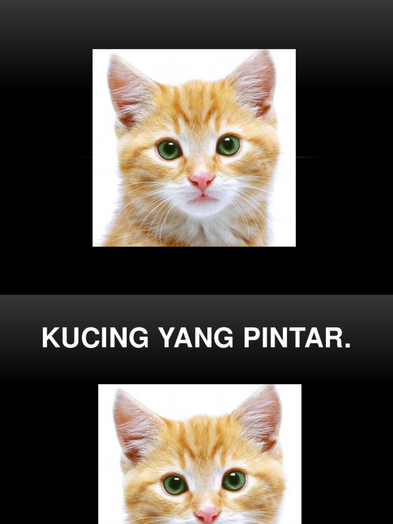 Cerita Si Tompok | PDF