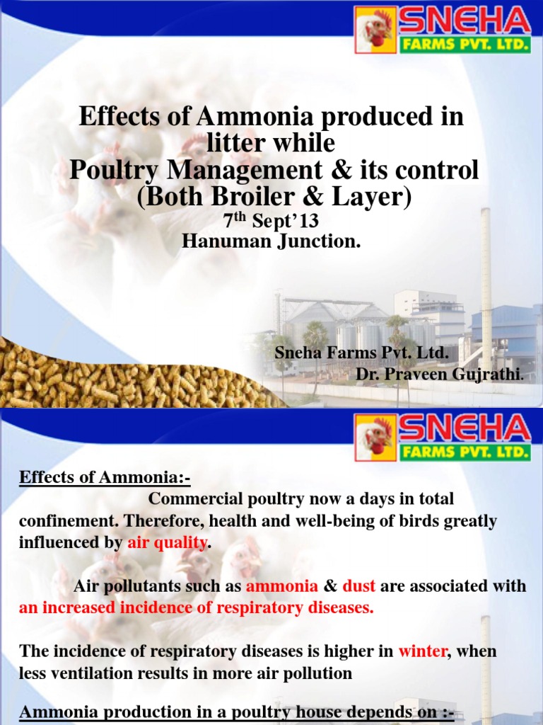 Poultry Litter Management | PDF | Poultry Farming | Ammonia