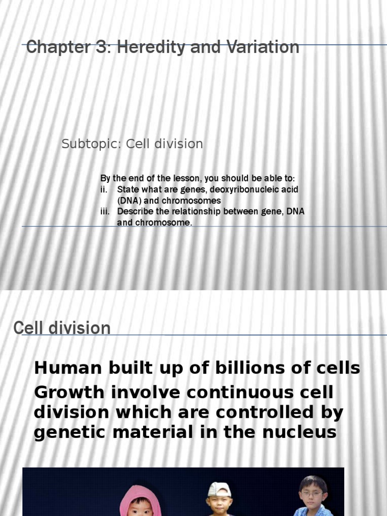 Cell Division Science Form 4 | PDF