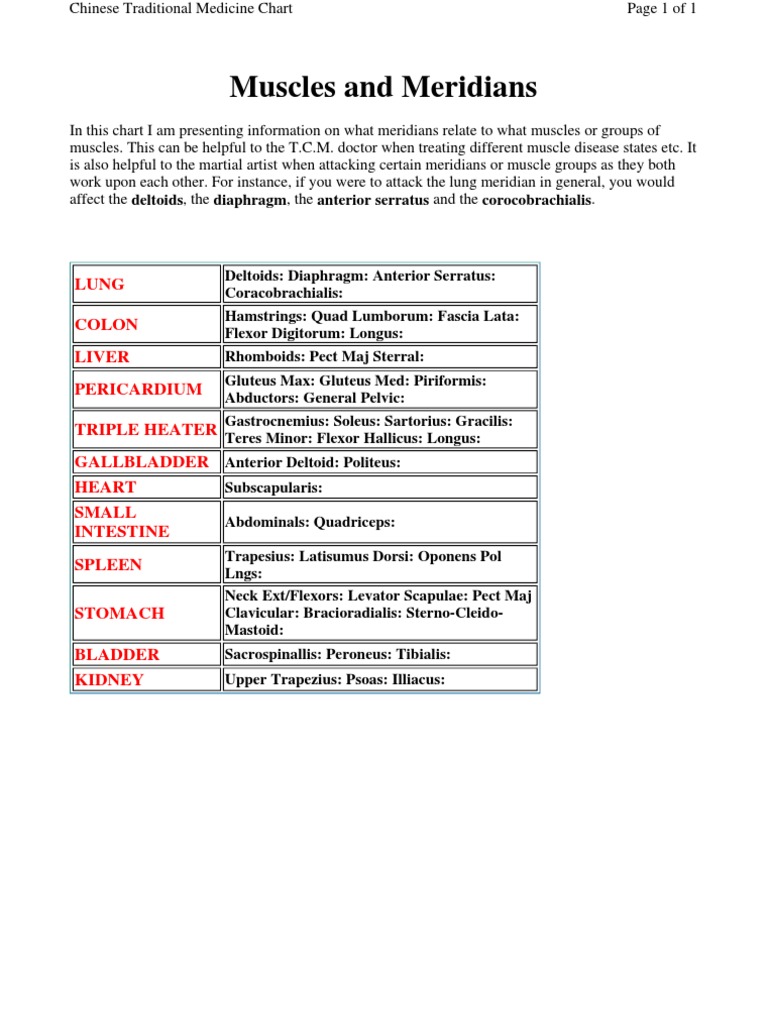 Muscles & Meridians Chart | PDF