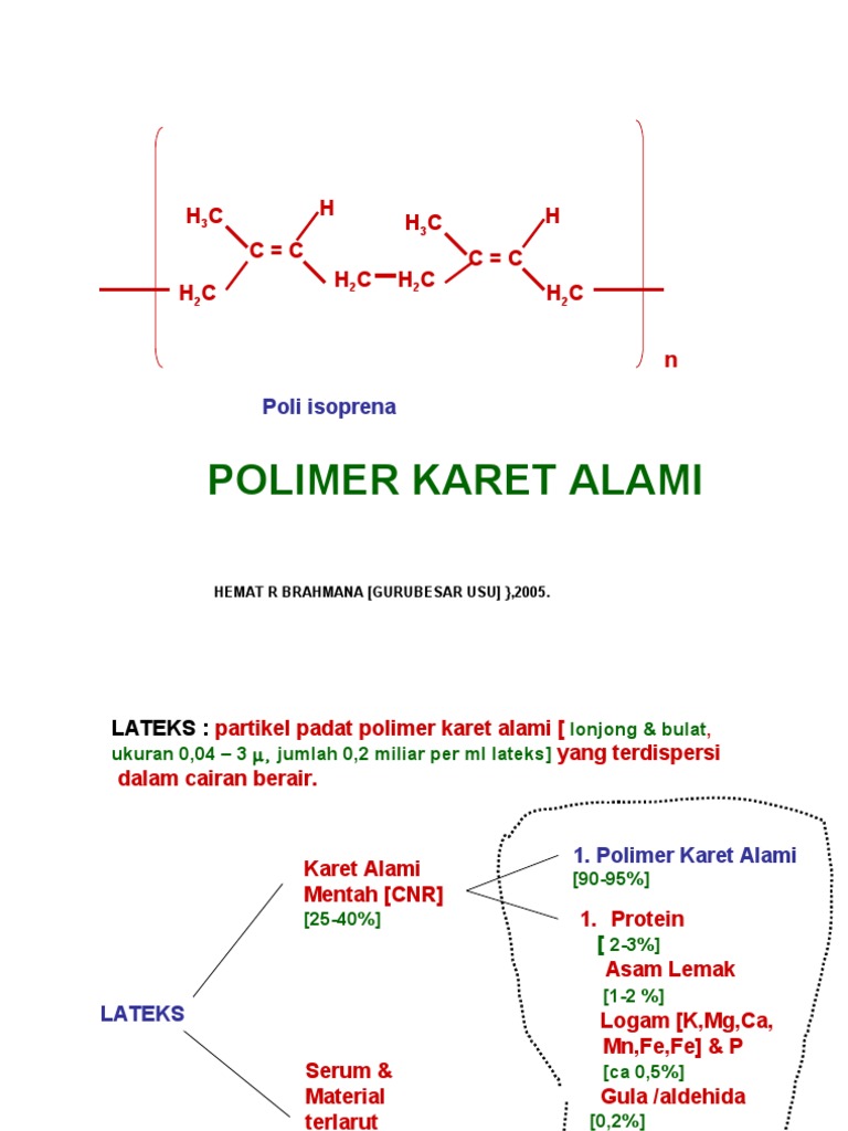 06-Polimer Karet Alam | PDF