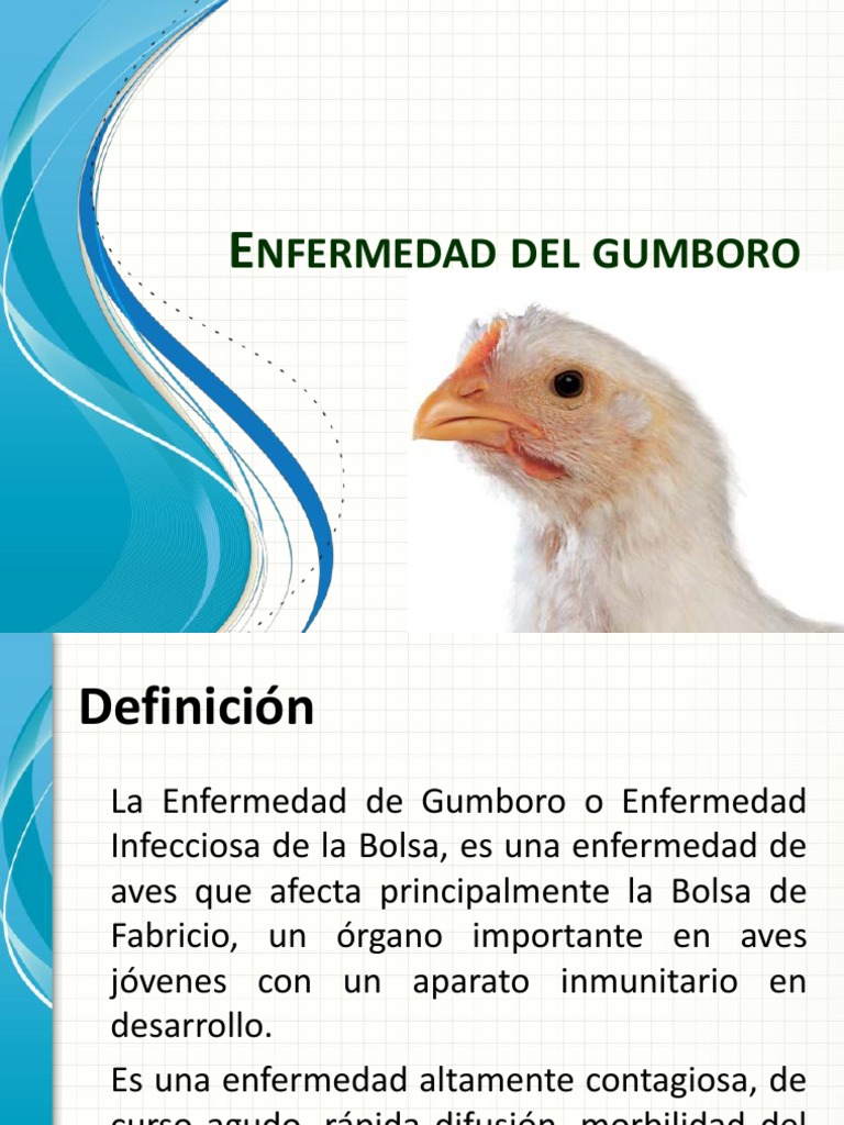 Gumboro | PDF | Infección | Virus