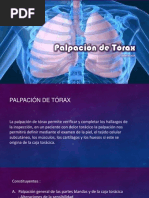 Percusión Del Torax | PDF