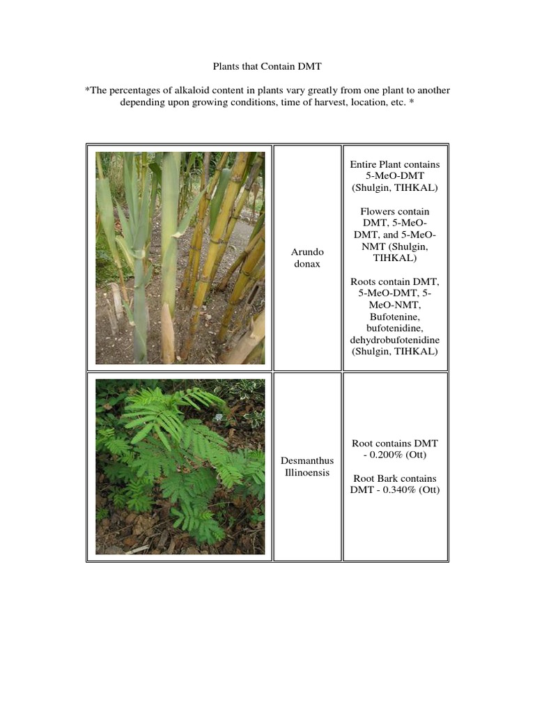 Plants That Contain DMT | PDF | Trees | Plants