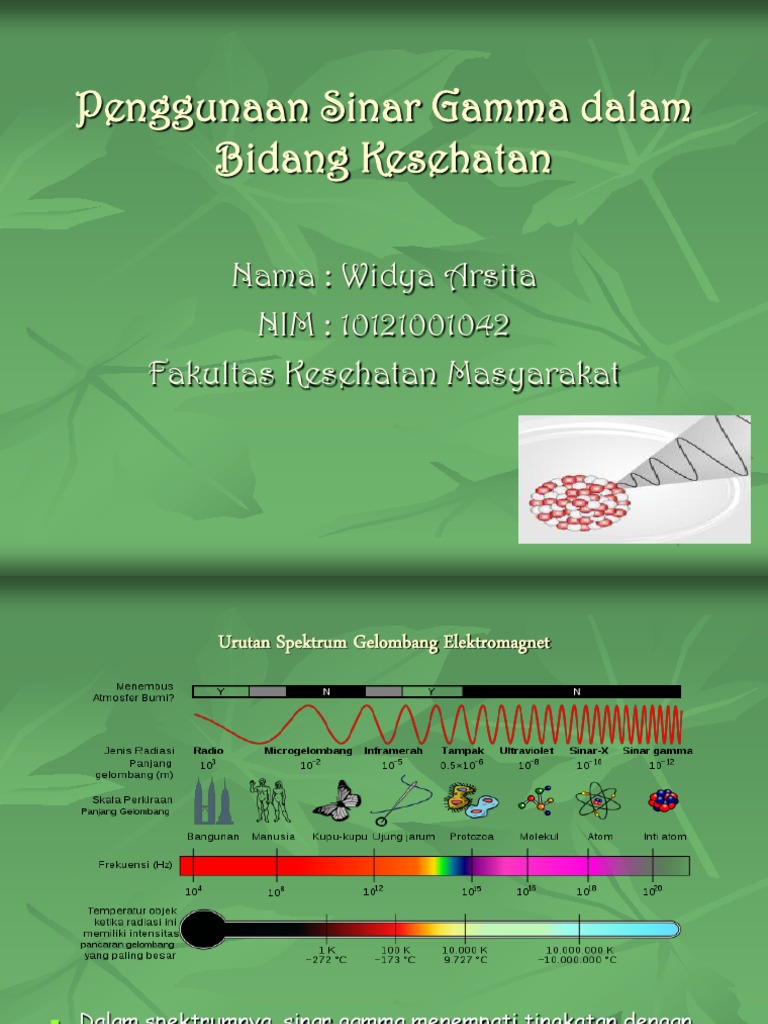 Sinar Gamma | PDF | Sains & Matematika