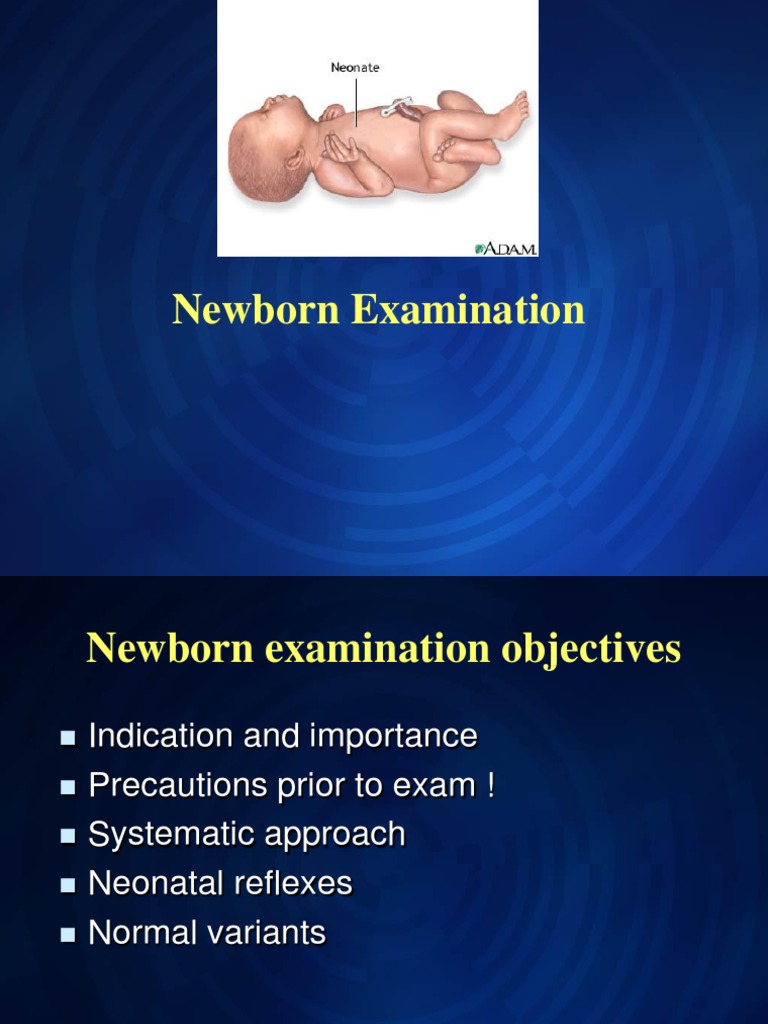 Newborn Examination | PDF | Human Anatomy | Medical Specialties