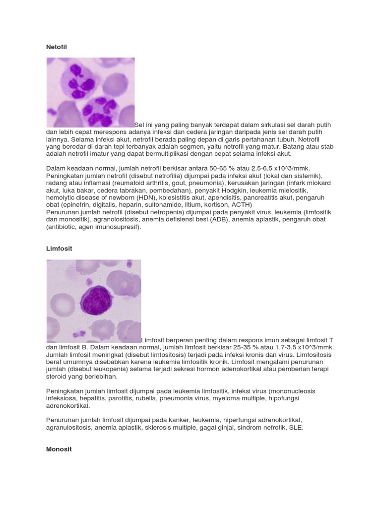 Macam-Macam Leukosit | PDF | Kesehatan Holistik