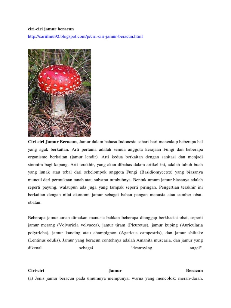 Ciri-Ciri Jamur Beracun | PDF