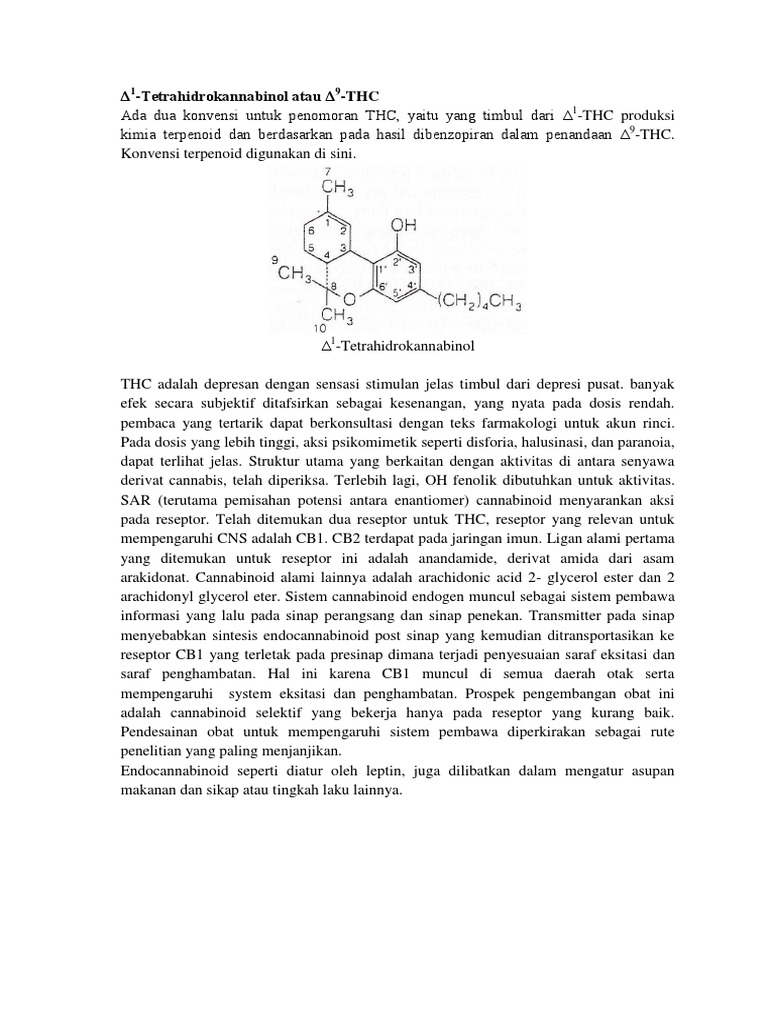 Golongan Halusinogen | PDF