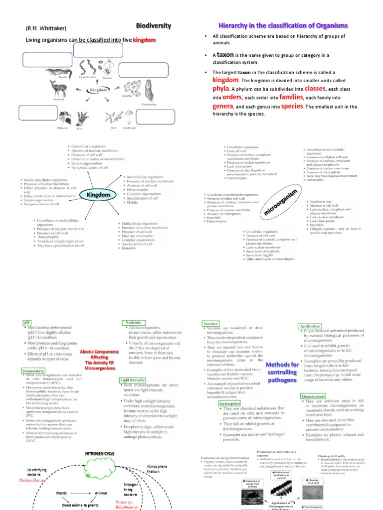 Biodiversity: Hierarchy in The Classification of Organisms | PDF | Wellness | Science & Mathematics
