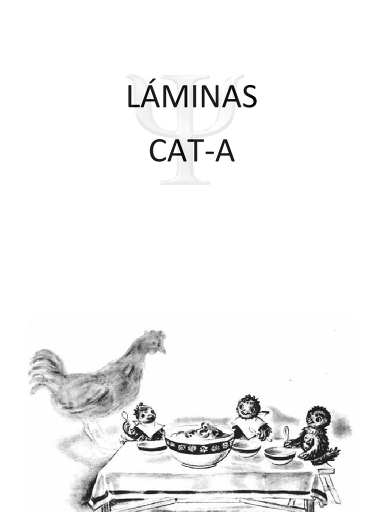LÁMINAS CAT,A,H,S