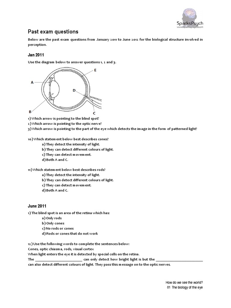 Year 10 Psychology GCSE - Topic A - How Do We See The World? Past Exam ...