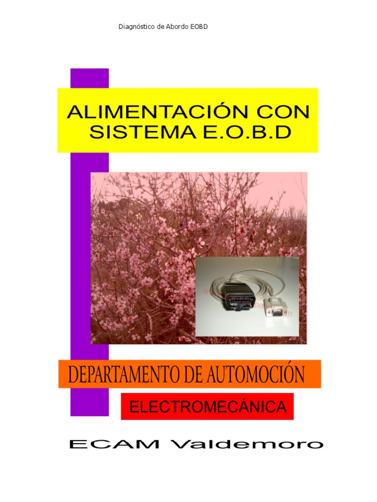 Eobd | PDF | Catálisis | Bomba